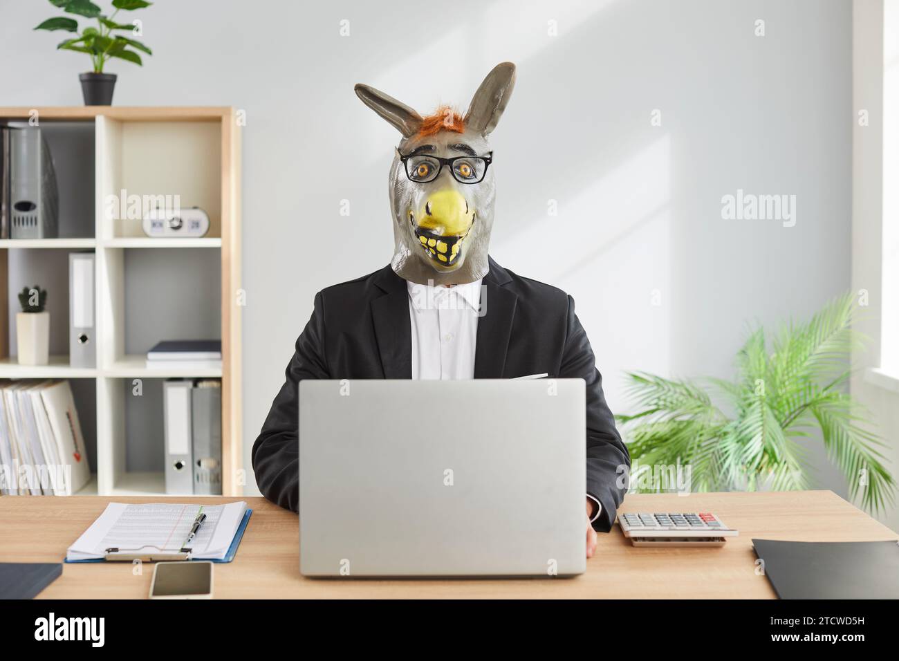 Human and donkey head hi-res stock photography and images - Alamy