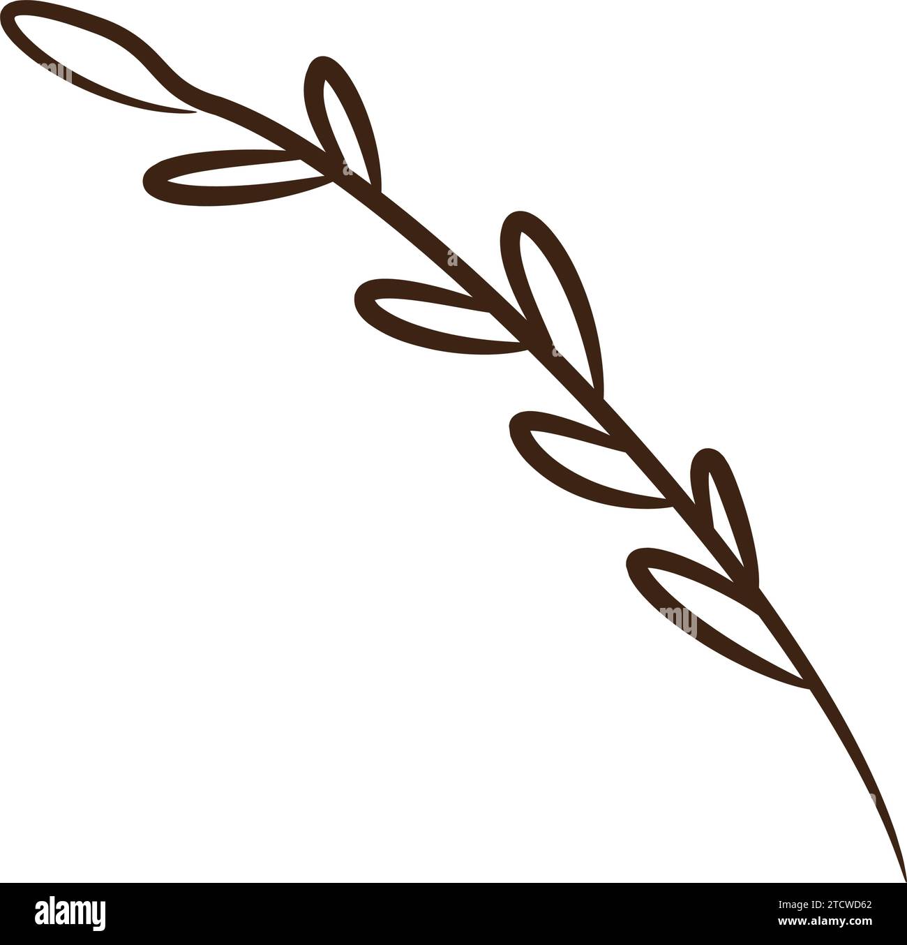 Vintage hand drawn leaf sketch Vector Stock Vector Image & Art - Alamy