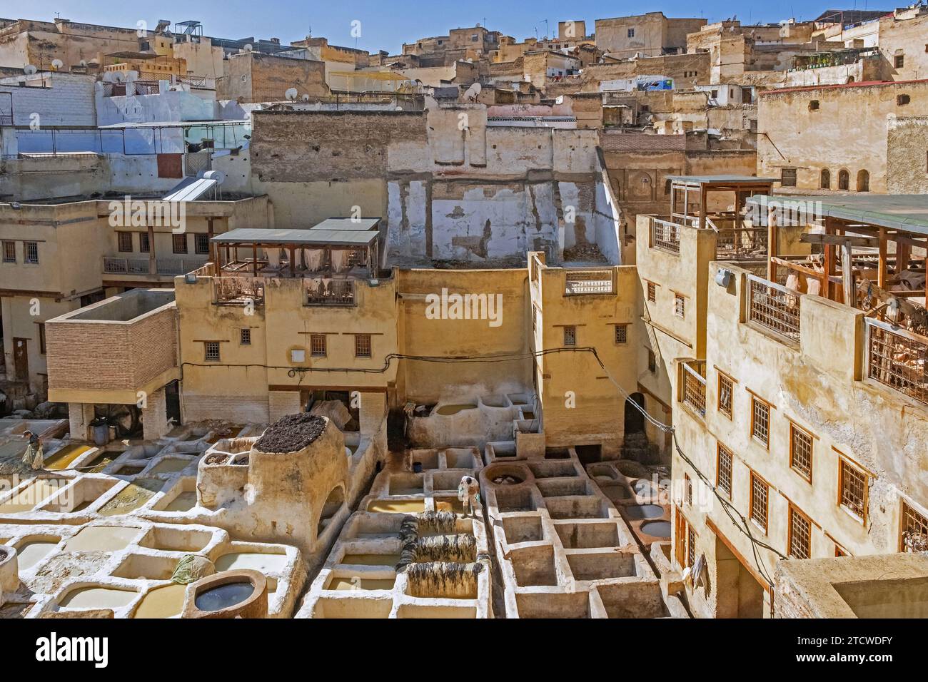 Sidi Moussa Tannery with round stone vessels filled with dye and ...