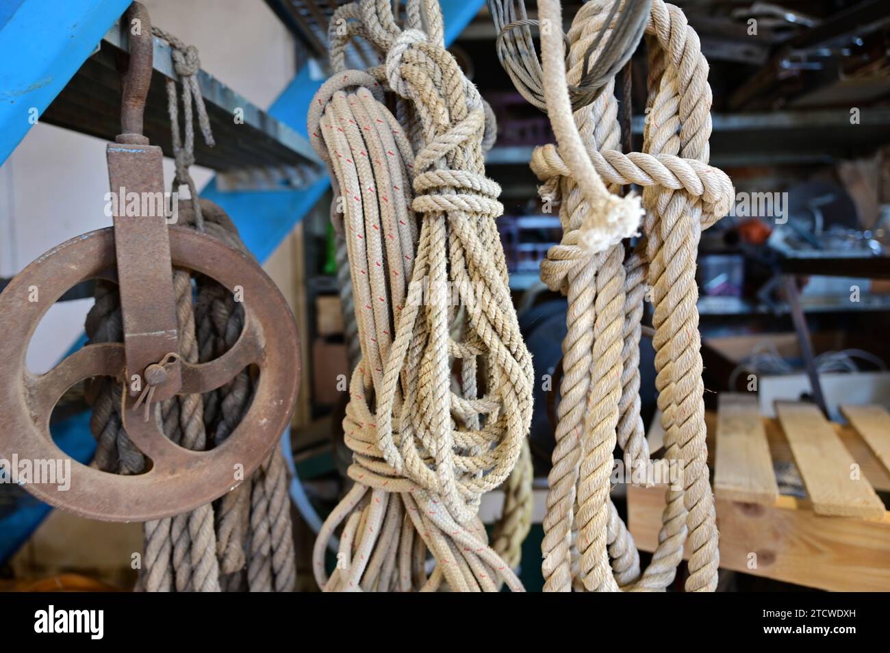 Cranz boatyard in the Altes Land, Hamburg-Cranz Stock Photo - Alamy