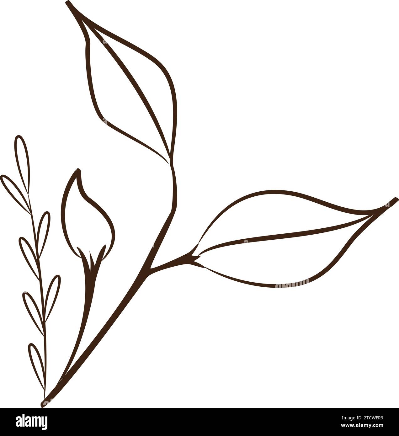 Vintage hand drawn leaf sketch Vector Stock Vector Image & Art - Alamy