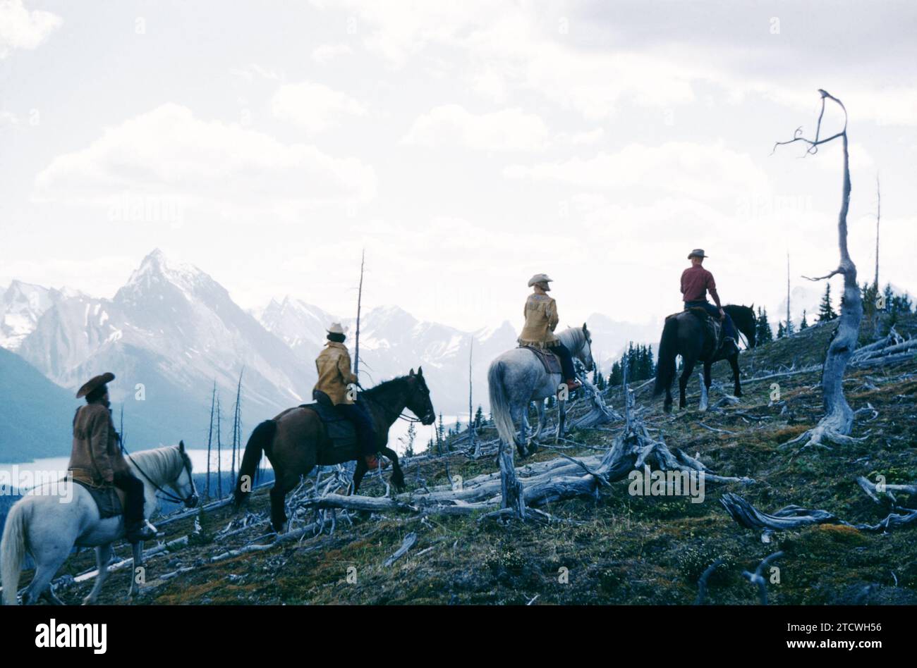 JASPER, AB - JULY, 1954: General view as a group of riders on horseback ...
