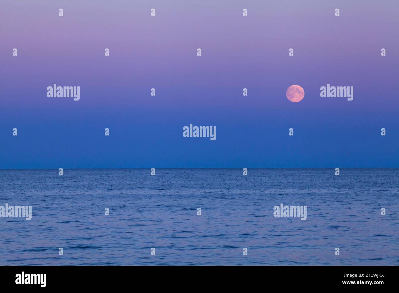 Full moon, a lunar phase, just above the sea level. Late evening up ...
