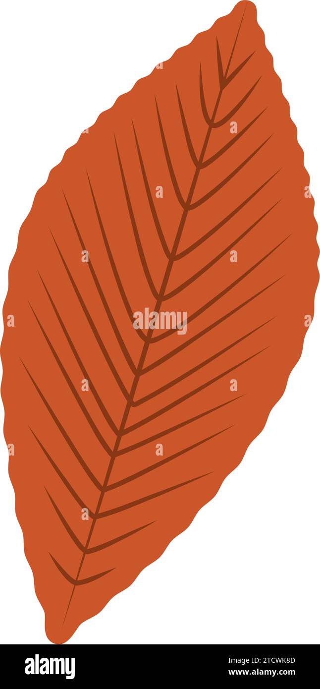 Flat colored autumn leaf icon Vector Stock Vector Image & Art - Alamy