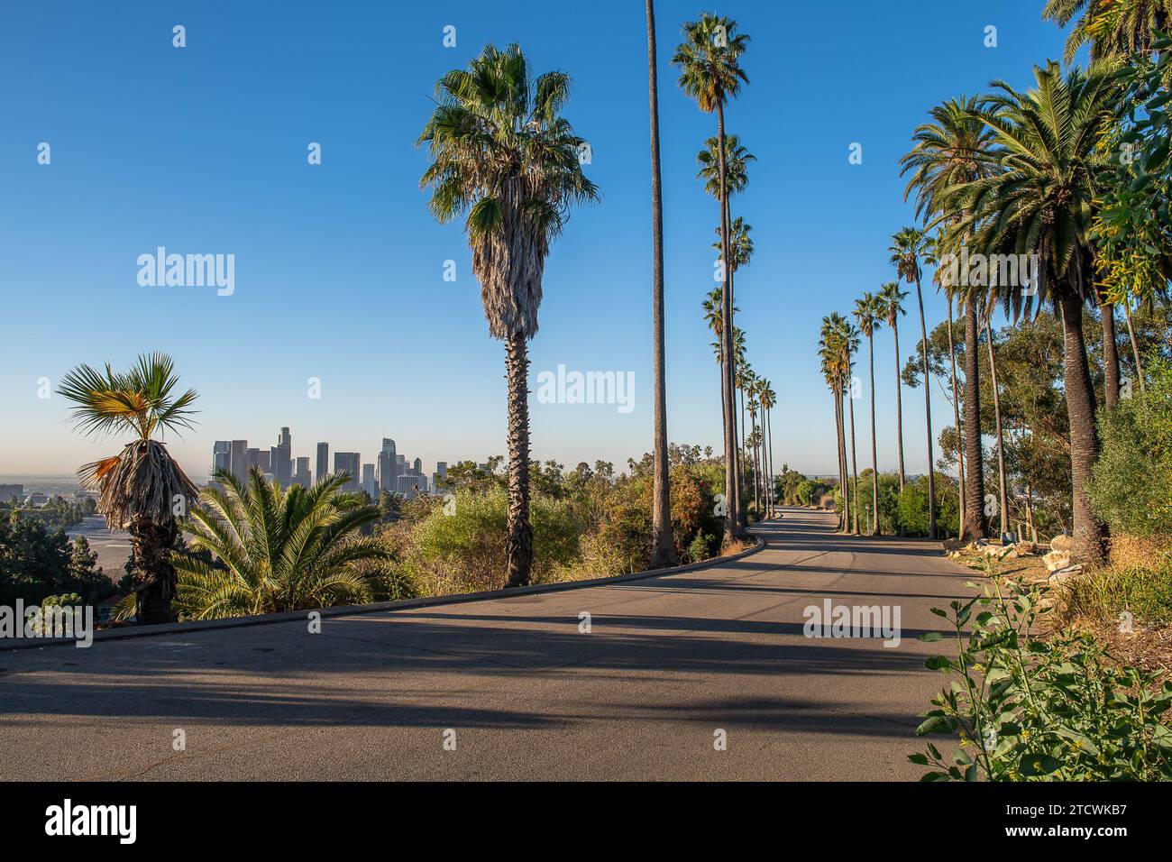 Los angeles elysian valley hi-res stock photography and images - Alamy