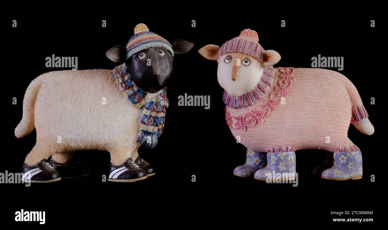 Fat tail sheep hi-res stock photography and images - Alamy