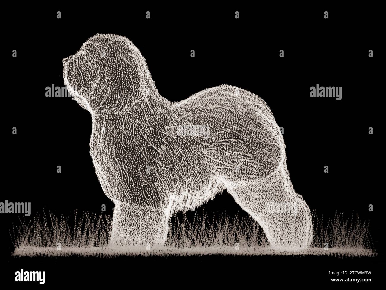 shape of dog Stock Photo - Alamy