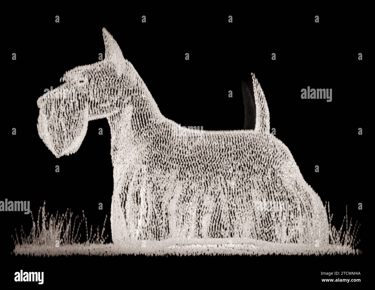 shape of dog Stock Photo - Alamy