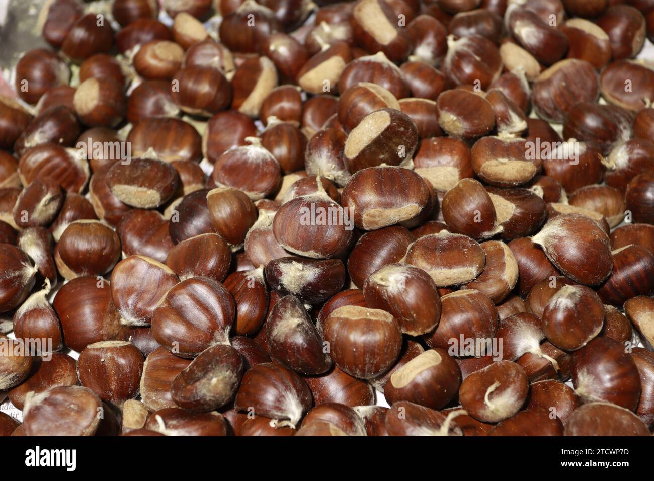 Trabajador trabajador trabajador trabajador trabajador trabajador hi ...