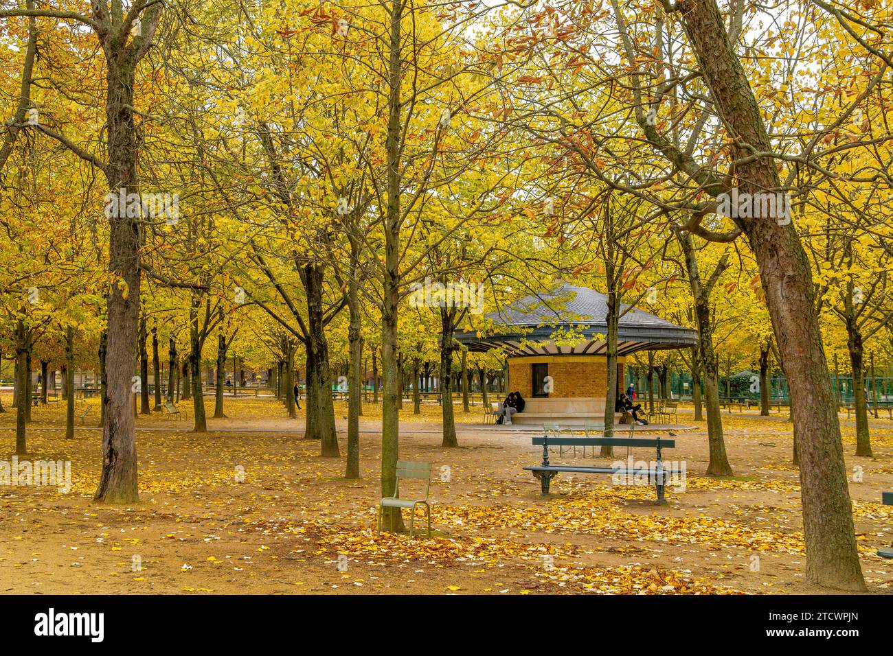Autumn leaves along a tree lined avenue at TheJardin du Luxembourg ...