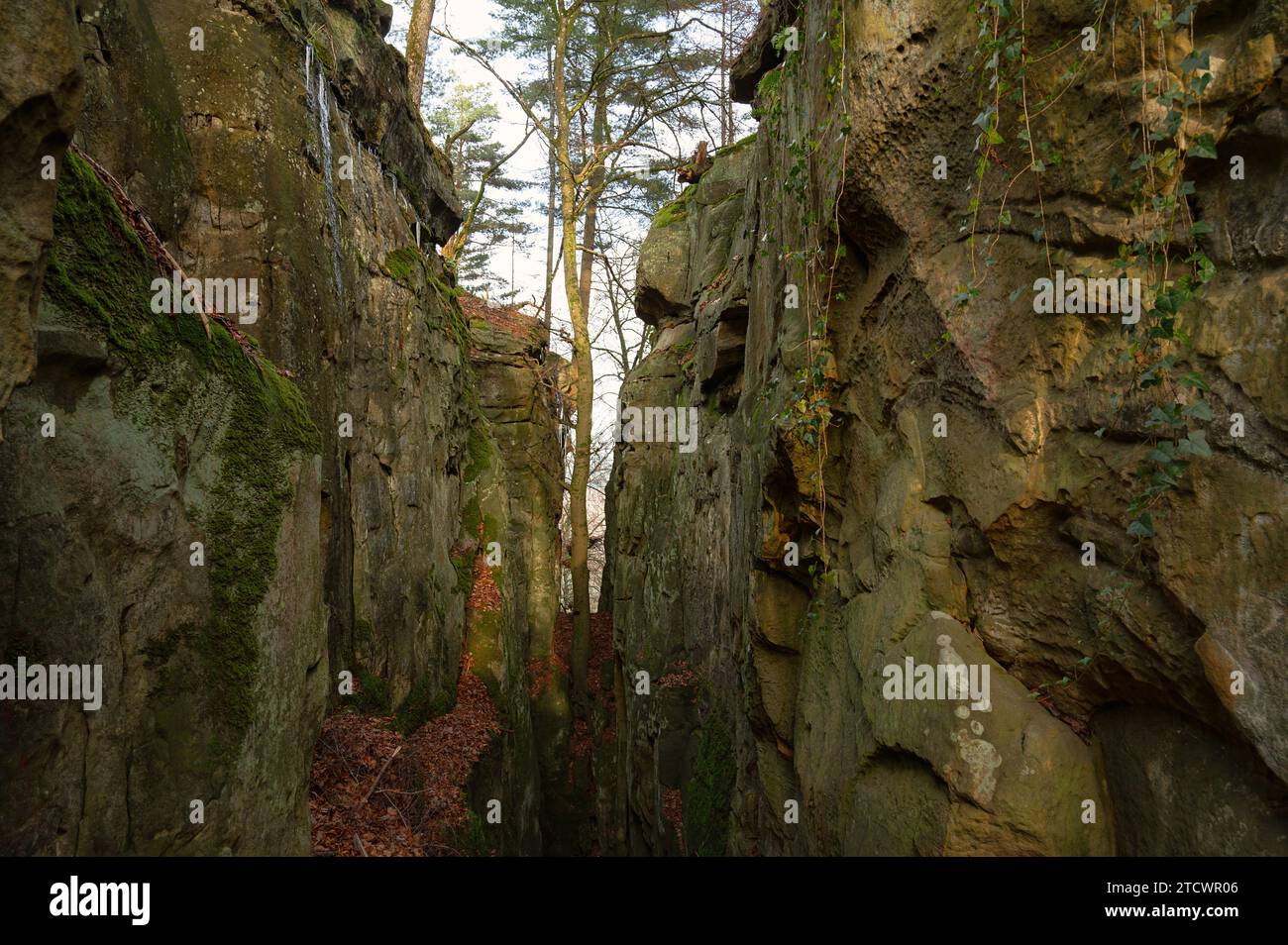 Devil Gorge at the Eifel, Teufelsschlucht with mighty boulders and ...