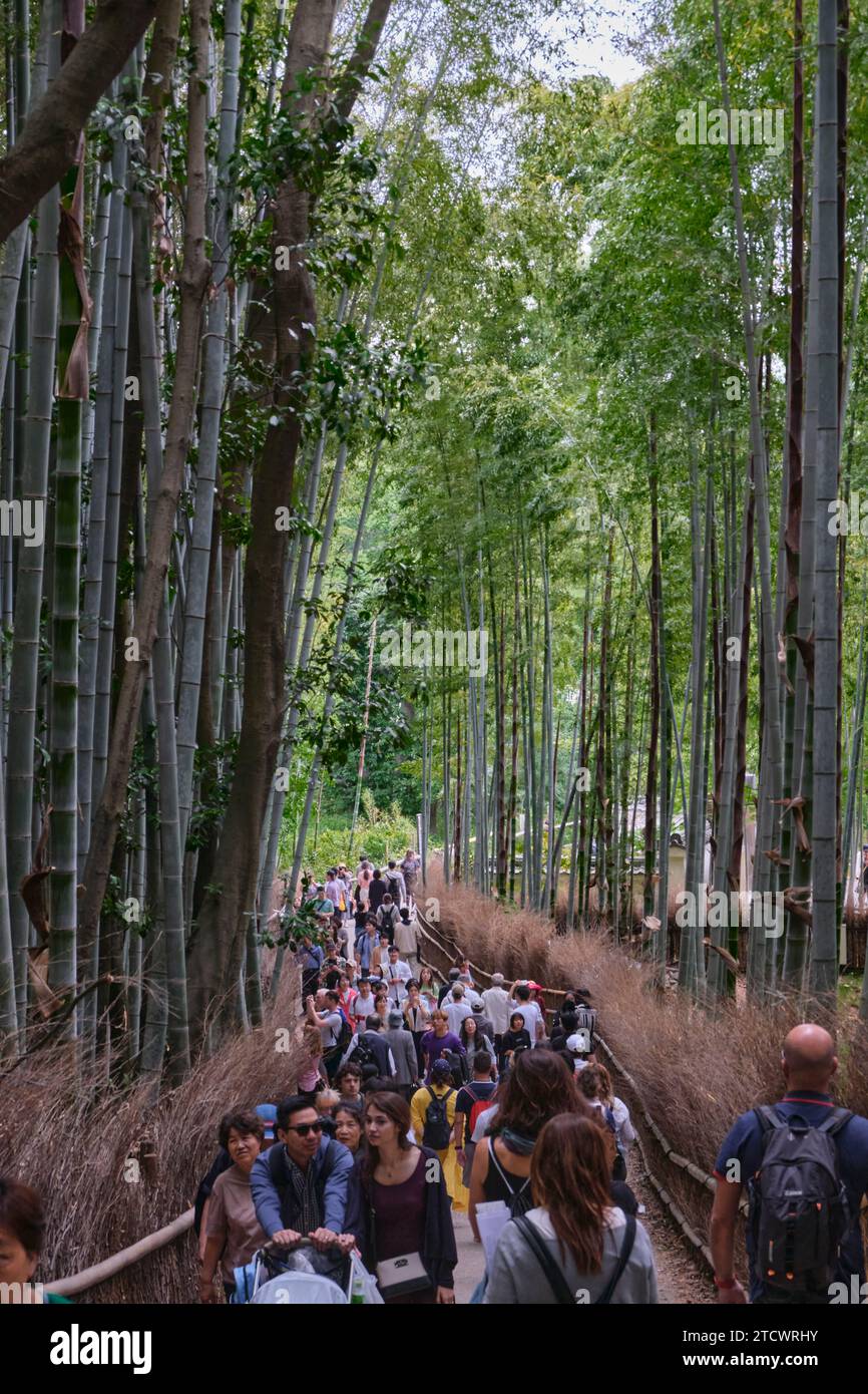 Kyoto, Japan; May 19, 2029: People walking along the path of a Bamboo ...