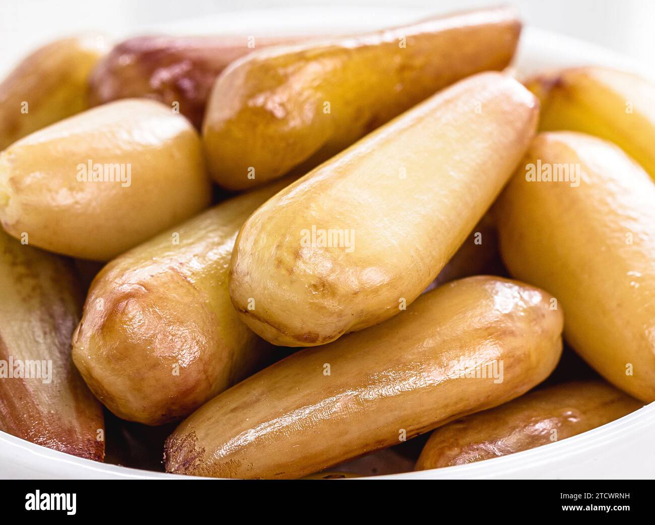 pinhão seeds, typical food of brazil, araucaria seed consumed in winter ...