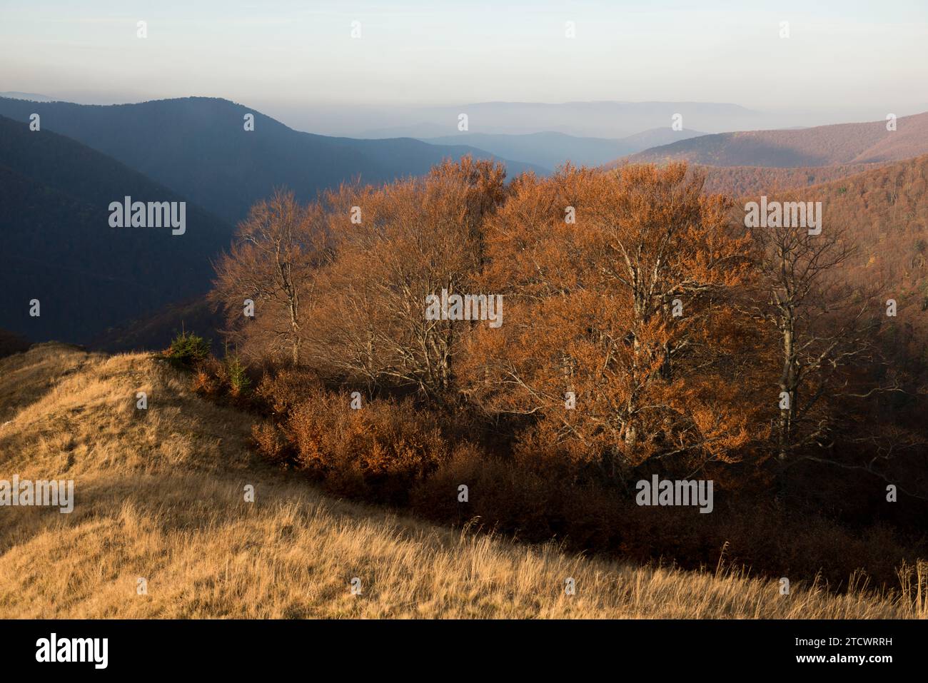 Morning in autumn carpathian hi-res stock photography and images - Alamy
