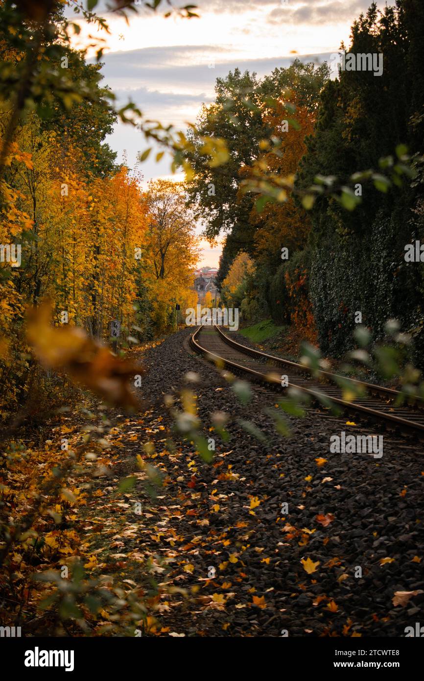 Trainrails hi-res stock photography and images - Alamy