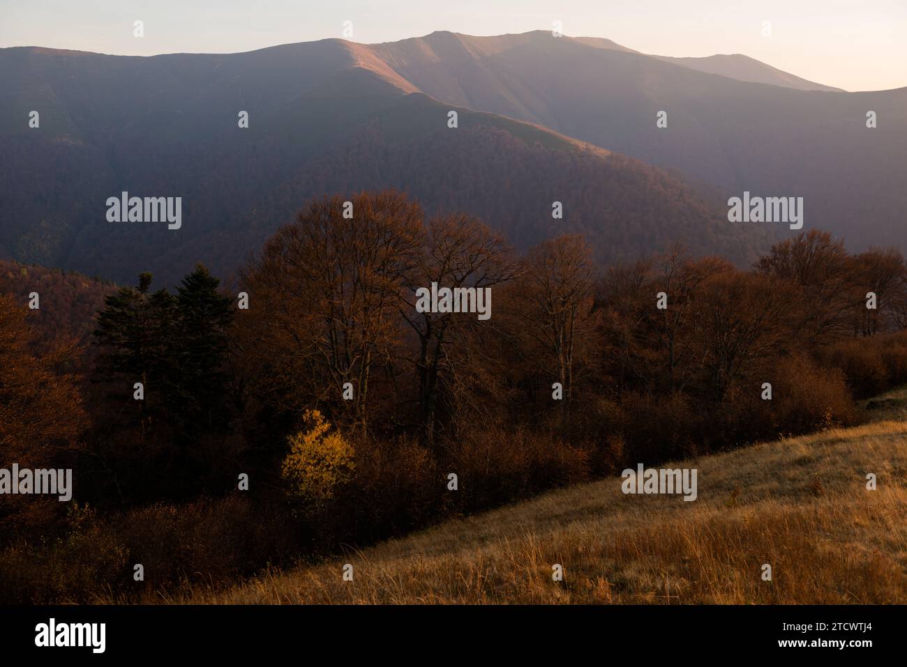 Autumn in Carpathian mountains, Ukraine Stock Photo - Alamy