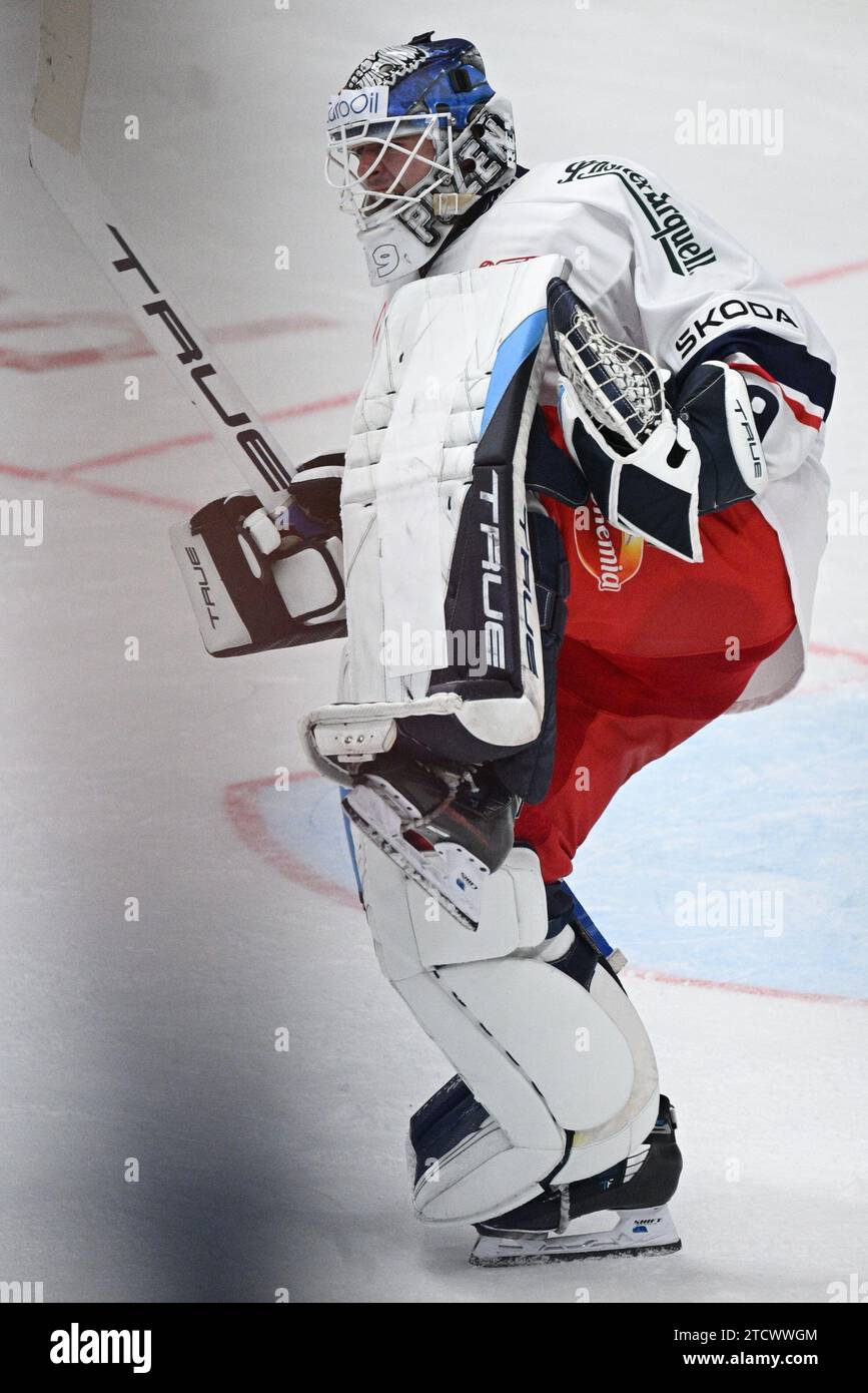 Prague, Czech Republic. 14th Dec, 2023. Czech goalkeeper Dominik Pavlat ...