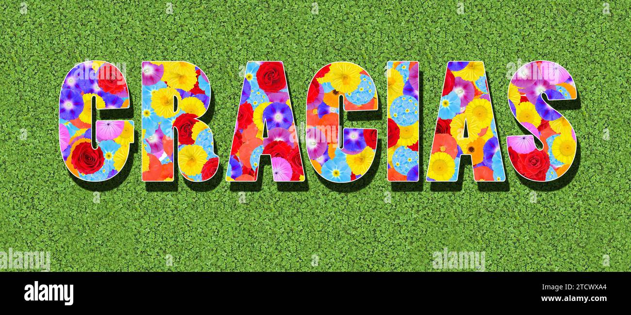 Gracias is thank you in Spanish, written with colourful flowers on a ...