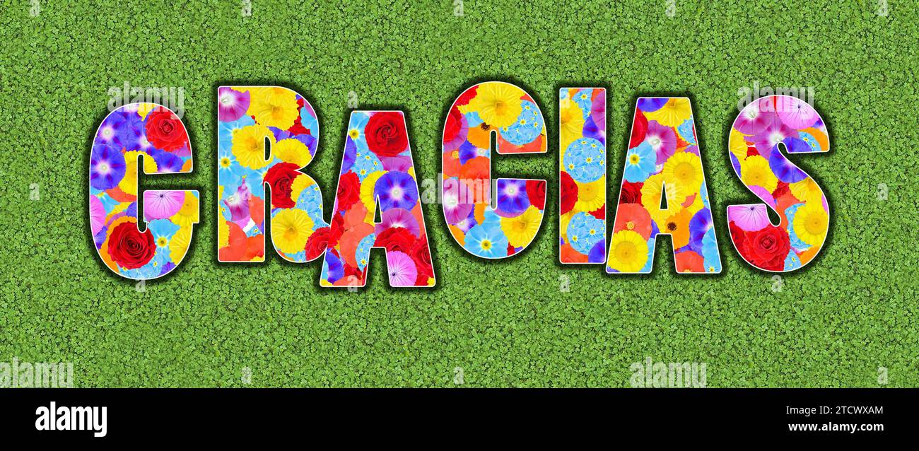 Gracias is thank you in Spanish, written with colourful flowers on a ...