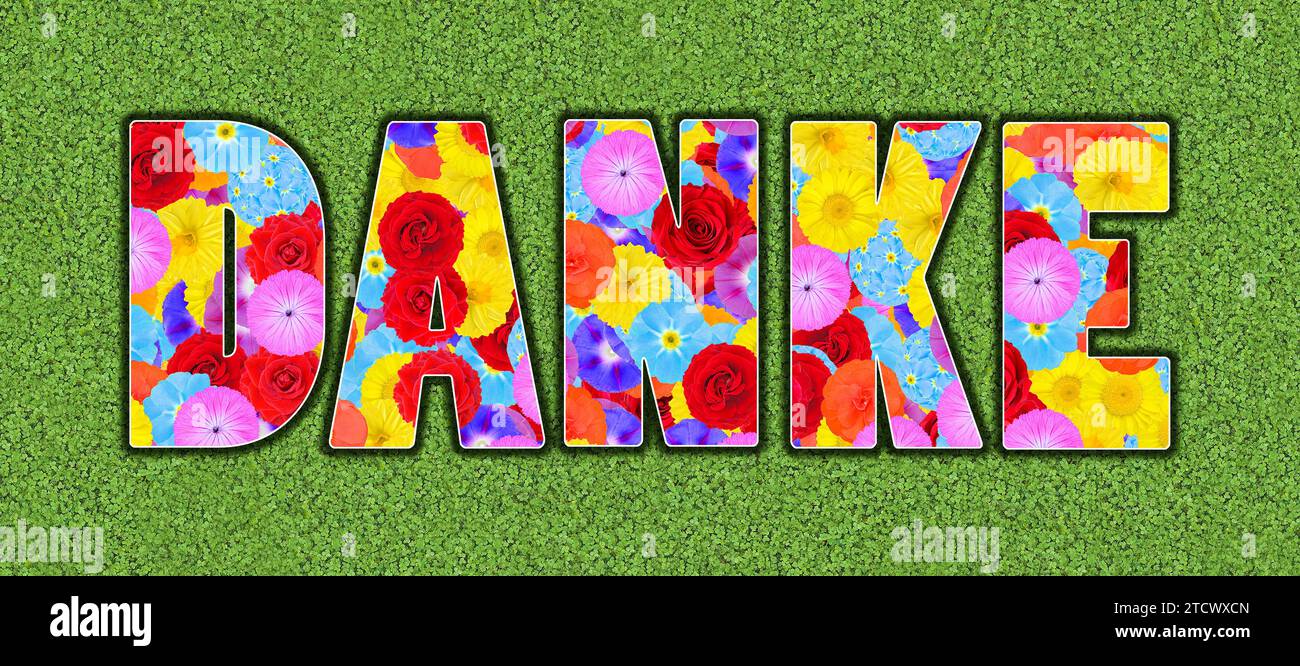 The german word Danke, thank you, written with colourful flowers on a ...