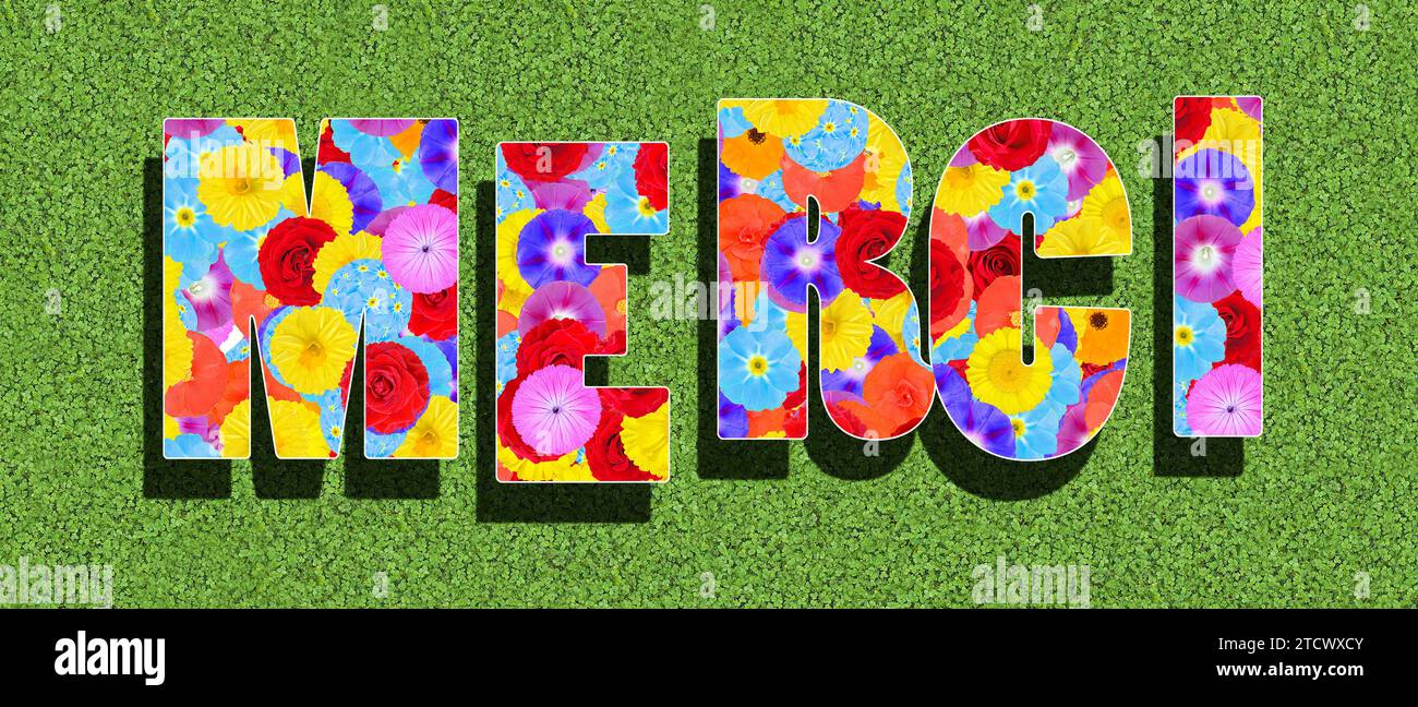 Merci is thank you in French, written with colourful flowers on a green ...