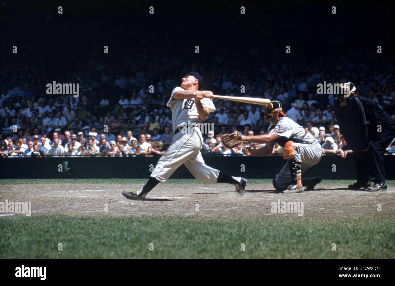 DETROIT, MI - JUNE 28: Rocky Bridges #8 of the Detroit Tigers swings at ...