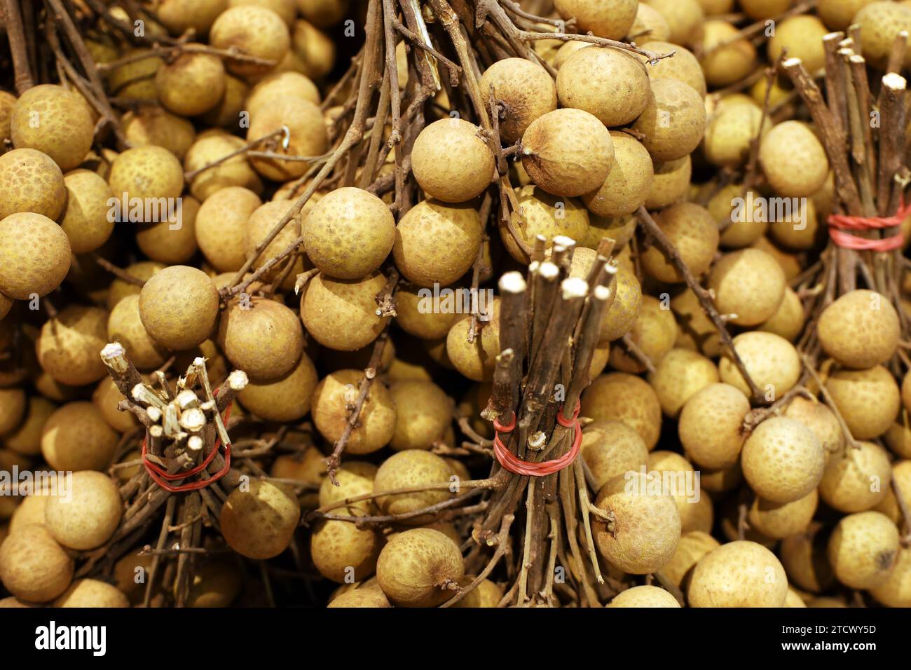 Longan fruits in bundles on the market, harvest of tropical fruit Stock ...