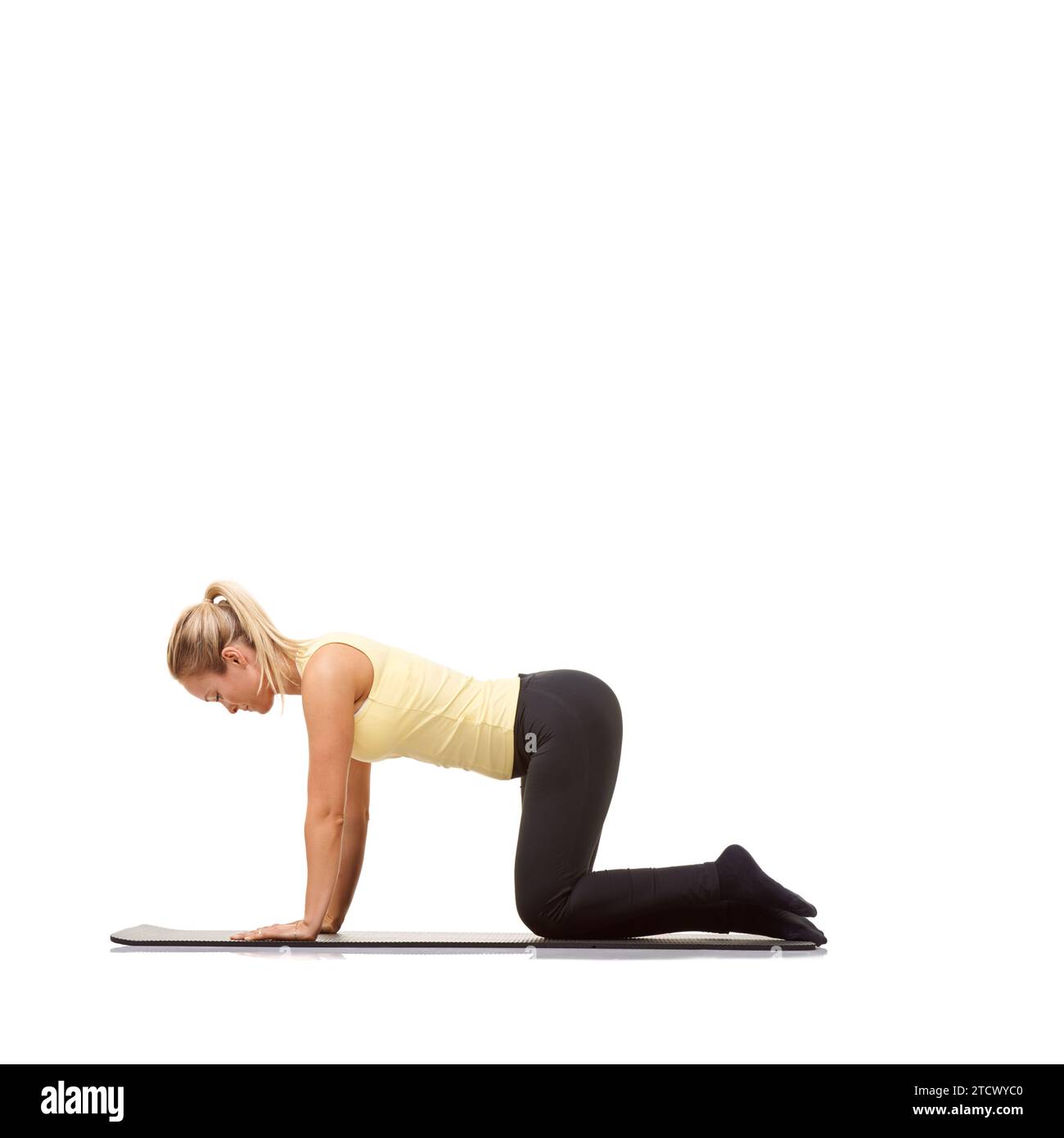 Woman, yoga and mat in studio for cat, pilates or workout for healthy ...