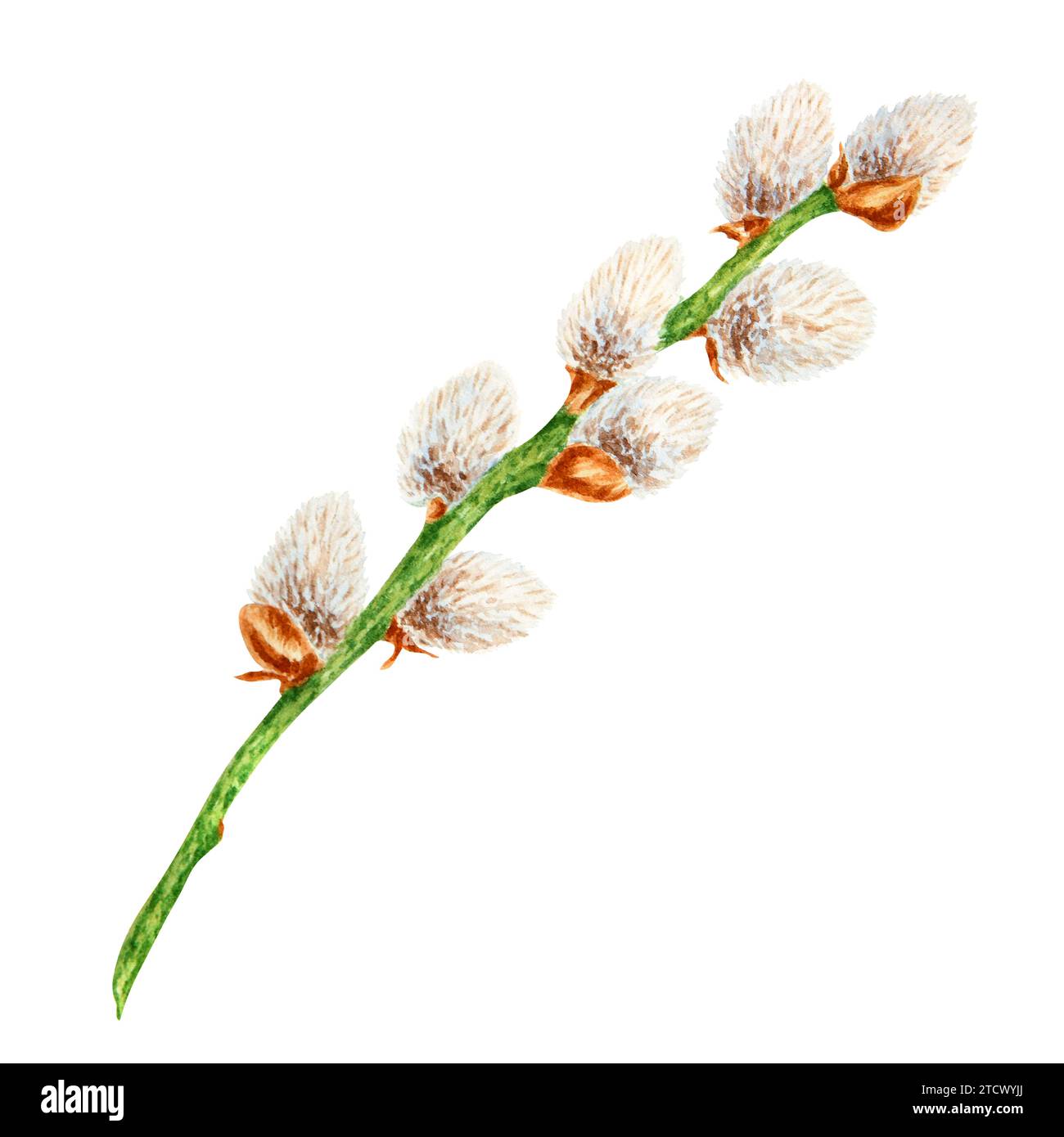 Willow Art Everyday Is A New Beginning Take A Deep Breath Wall Art