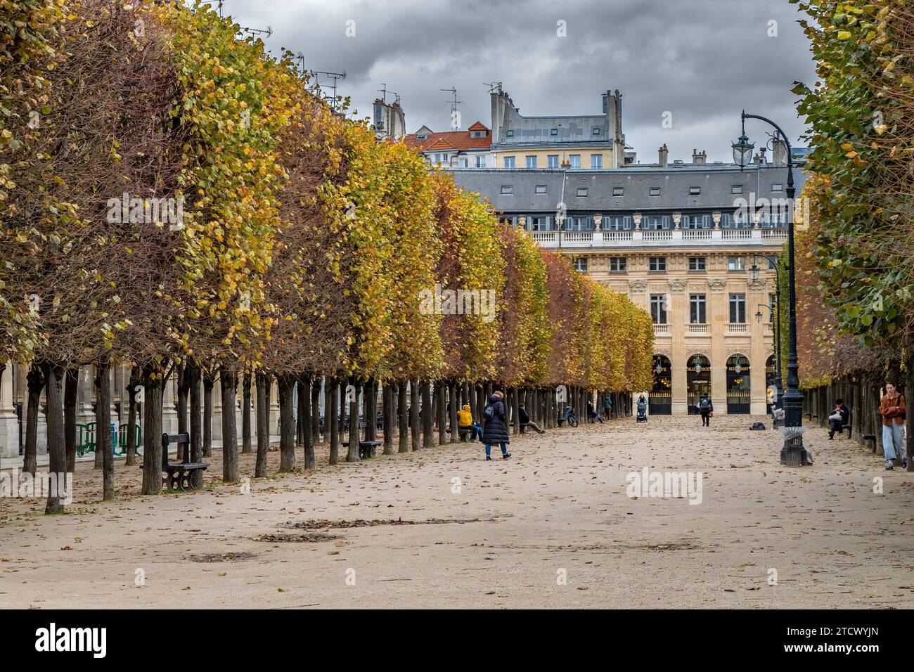 Tree lined walkways in the Palais-Royal gardens, a formal landscaped ...