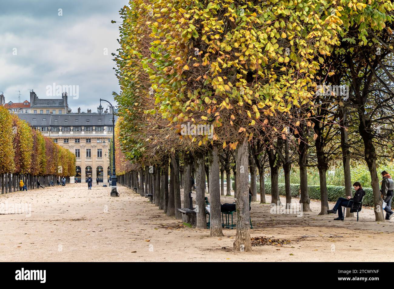 Tree lined walkways in the Palais-Royal gardens, a formal landscaped ...