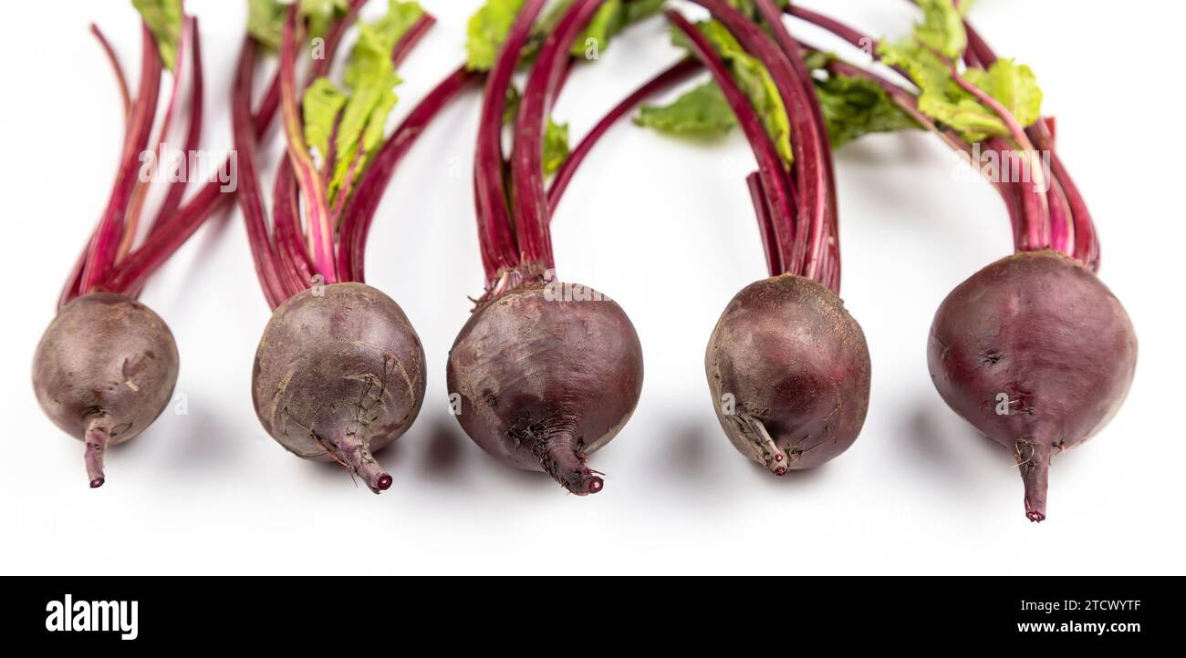 Red beets on a white background are laid out in a row. Front view Stock ...