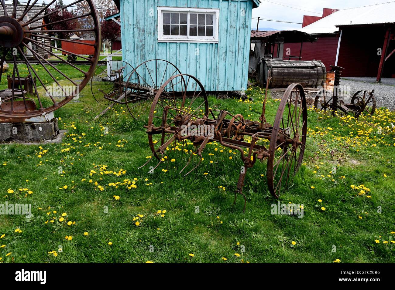 Buckkley hi-res stock photography and images - Alamy