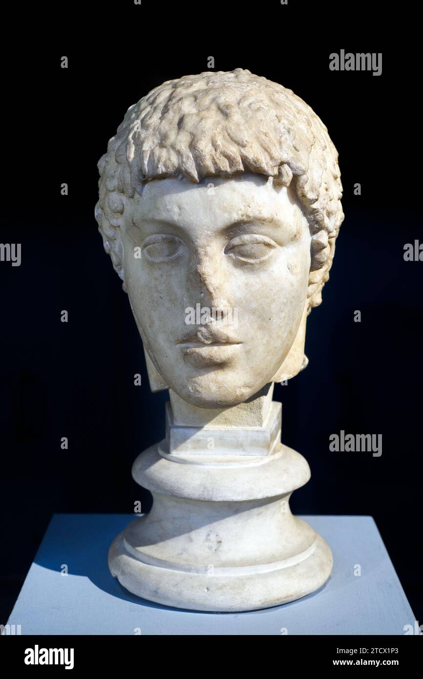 Head of Harmodius - Pentelic marble, copy after the bronze group ...