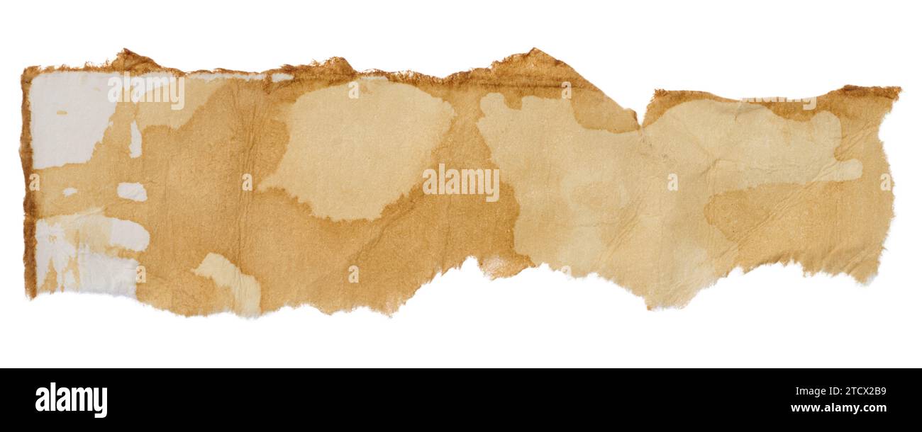 White torn piece of paper drenched in coffee on an isolated background ...