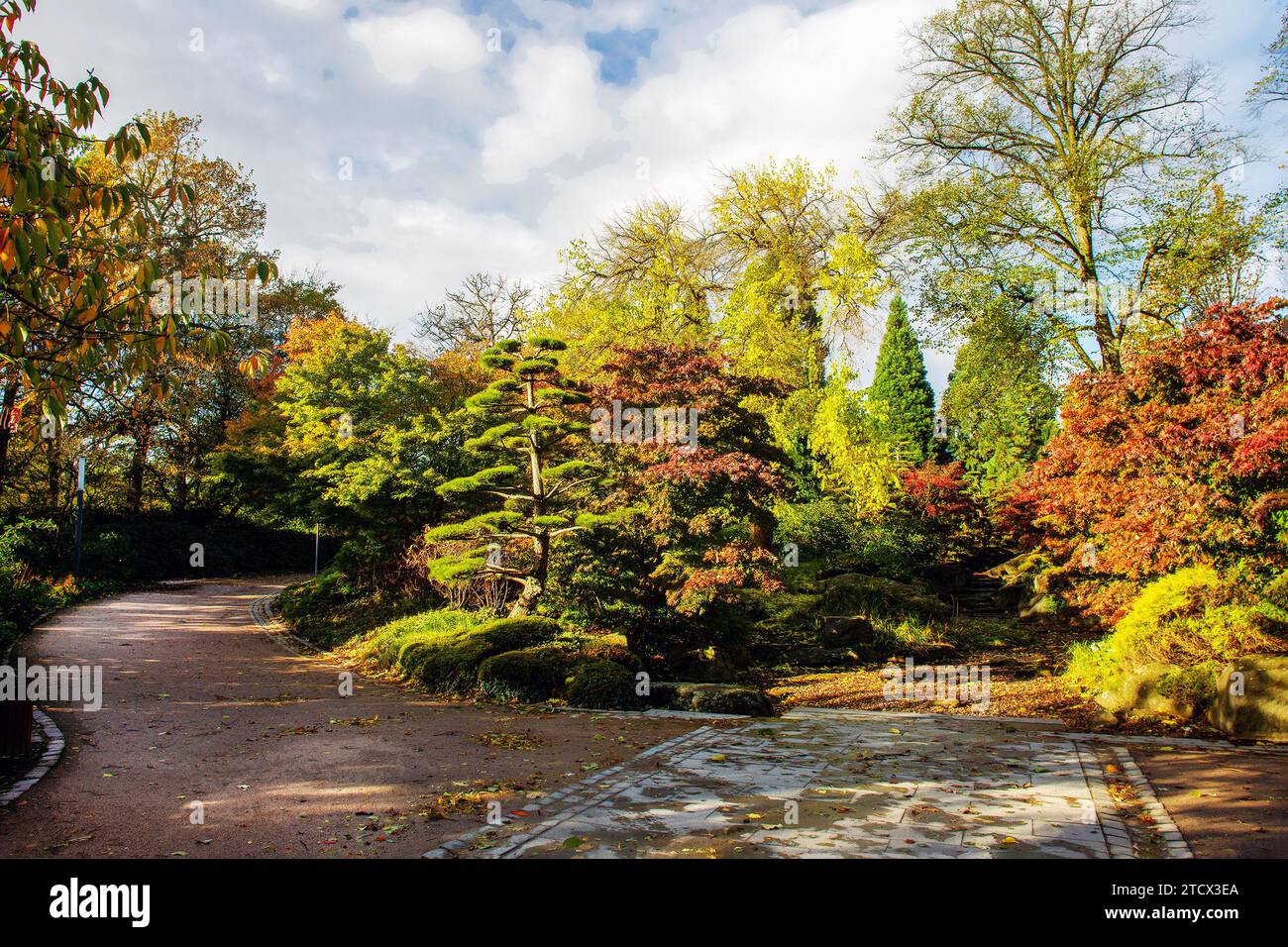 Amazing sunny sunset Botanical garden Planten un Blomen in Hamburg ...