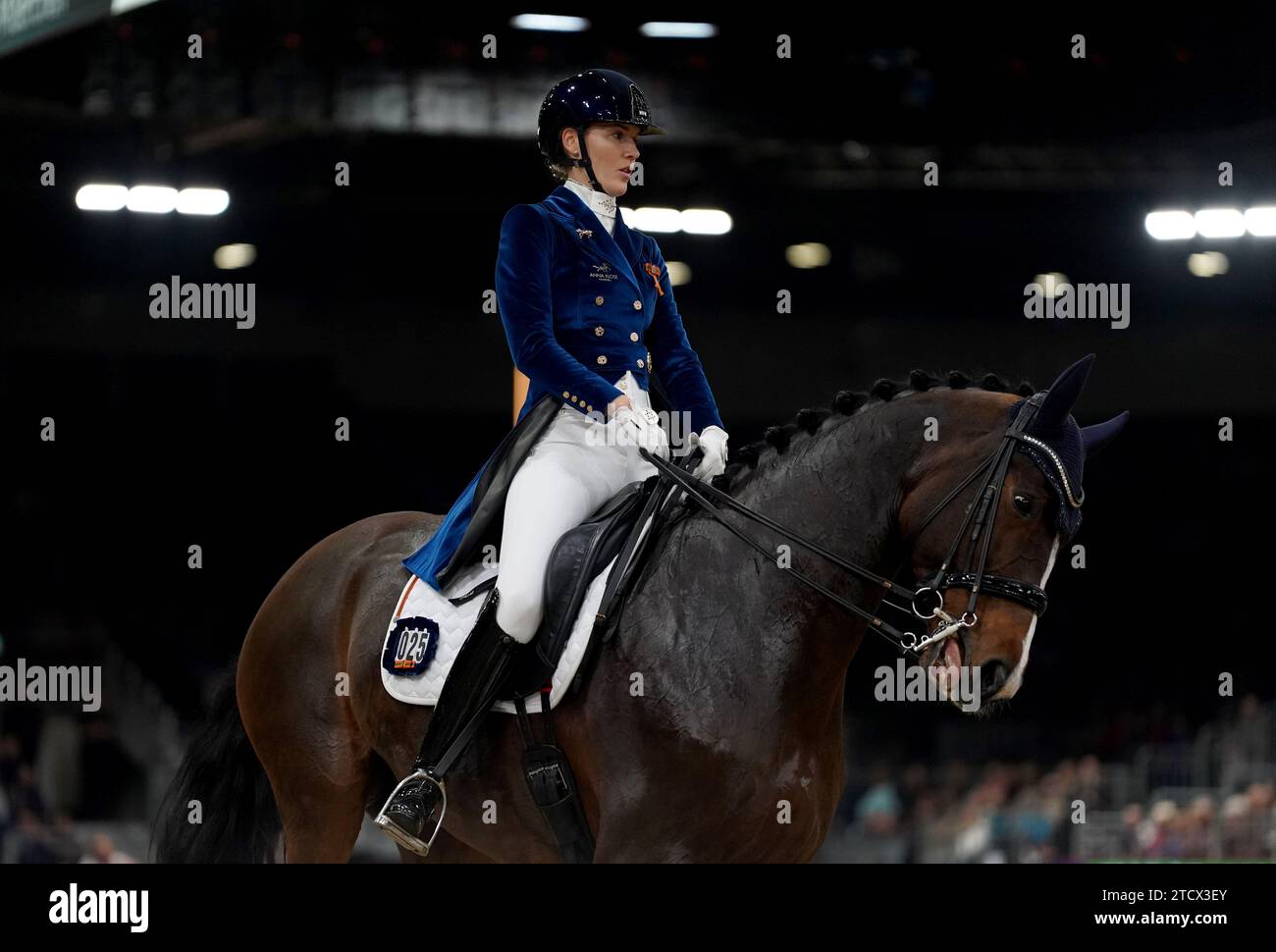 Hero Ridden by Netherland's Devenda Dijkstra during the FEI Dressage ...