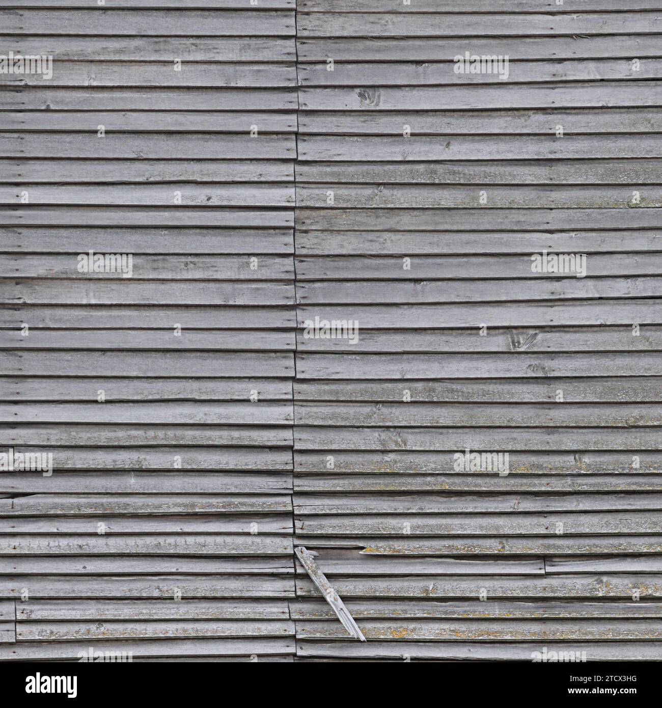 Old aged weathered natural grey damaged wooden farm shack wall texture ...