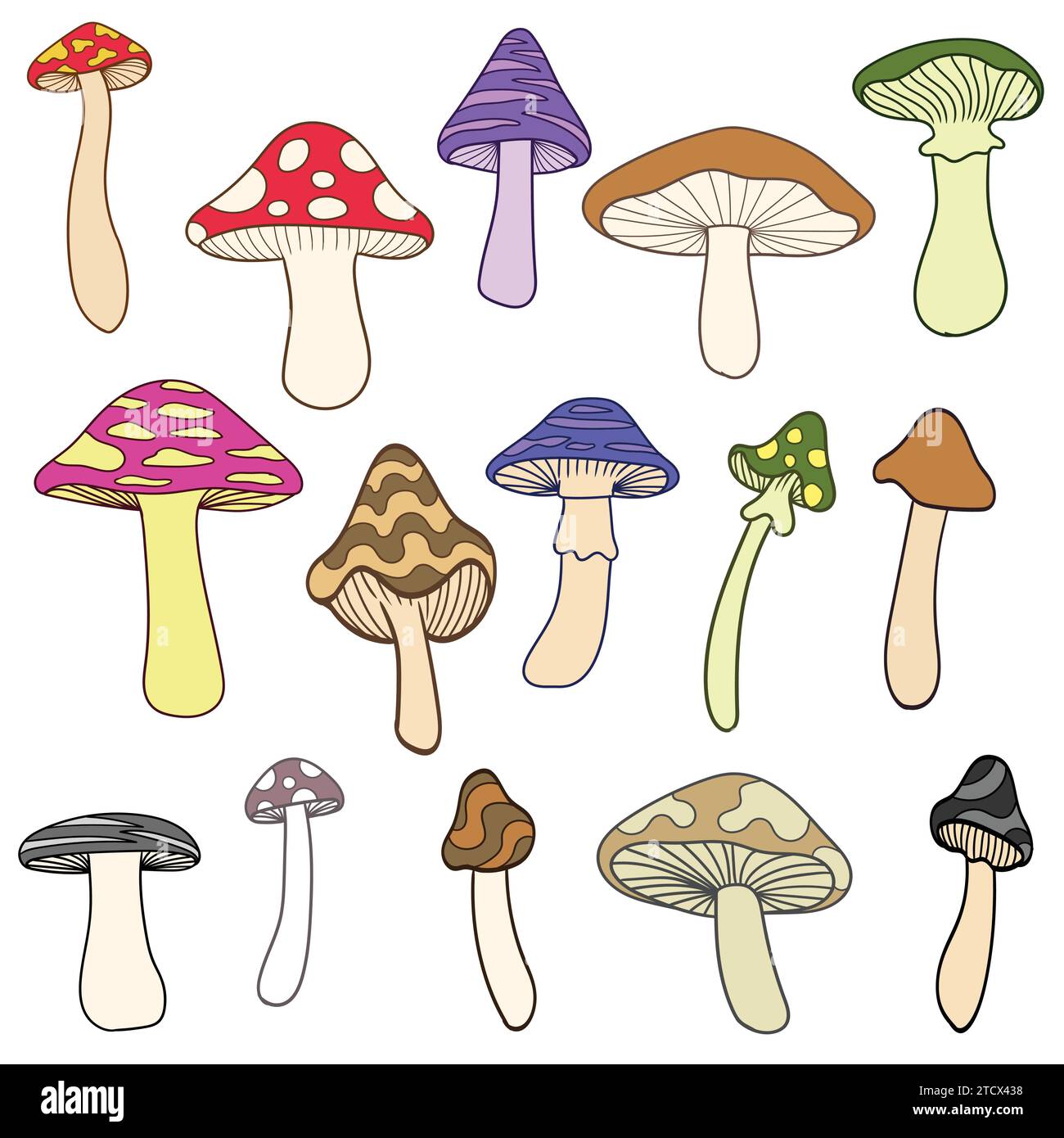 Mushrooms elements set collection vector illustration for your company ...