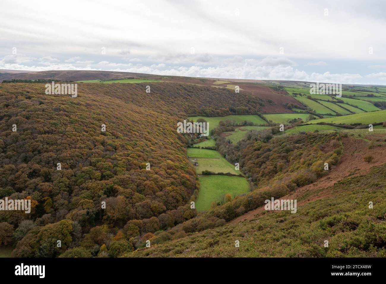 Landscape photo of the autumn colours in the Doone valley in Exmoor ...