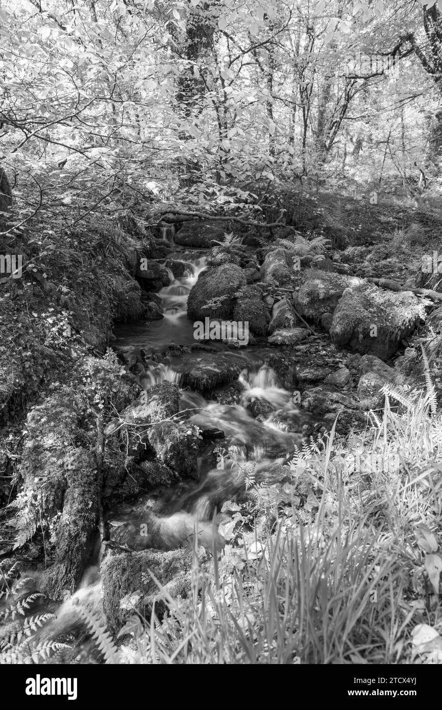 Long exposure of a waterfall flowing into the river Barle in the Barle ...