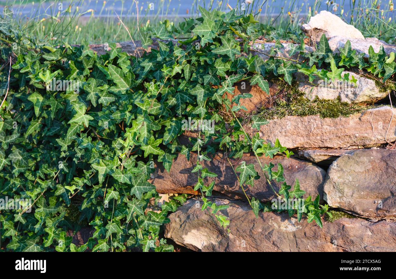 English lanscape rock hi-res stock photography and images - Alamy