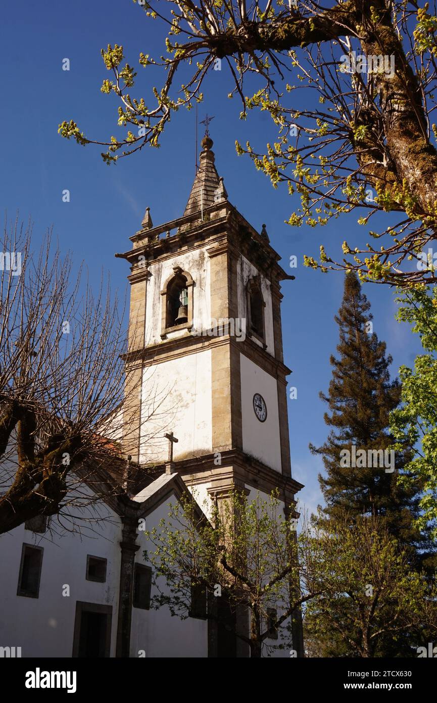 old church with trees in the frame Stock Photo - Alamy