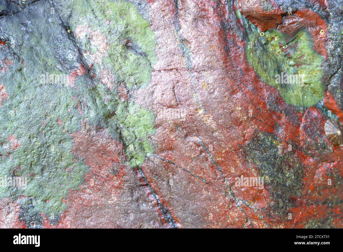 Red and green serpentine rock in Kynance Cove, Cornwall Stock Photo - Alamy