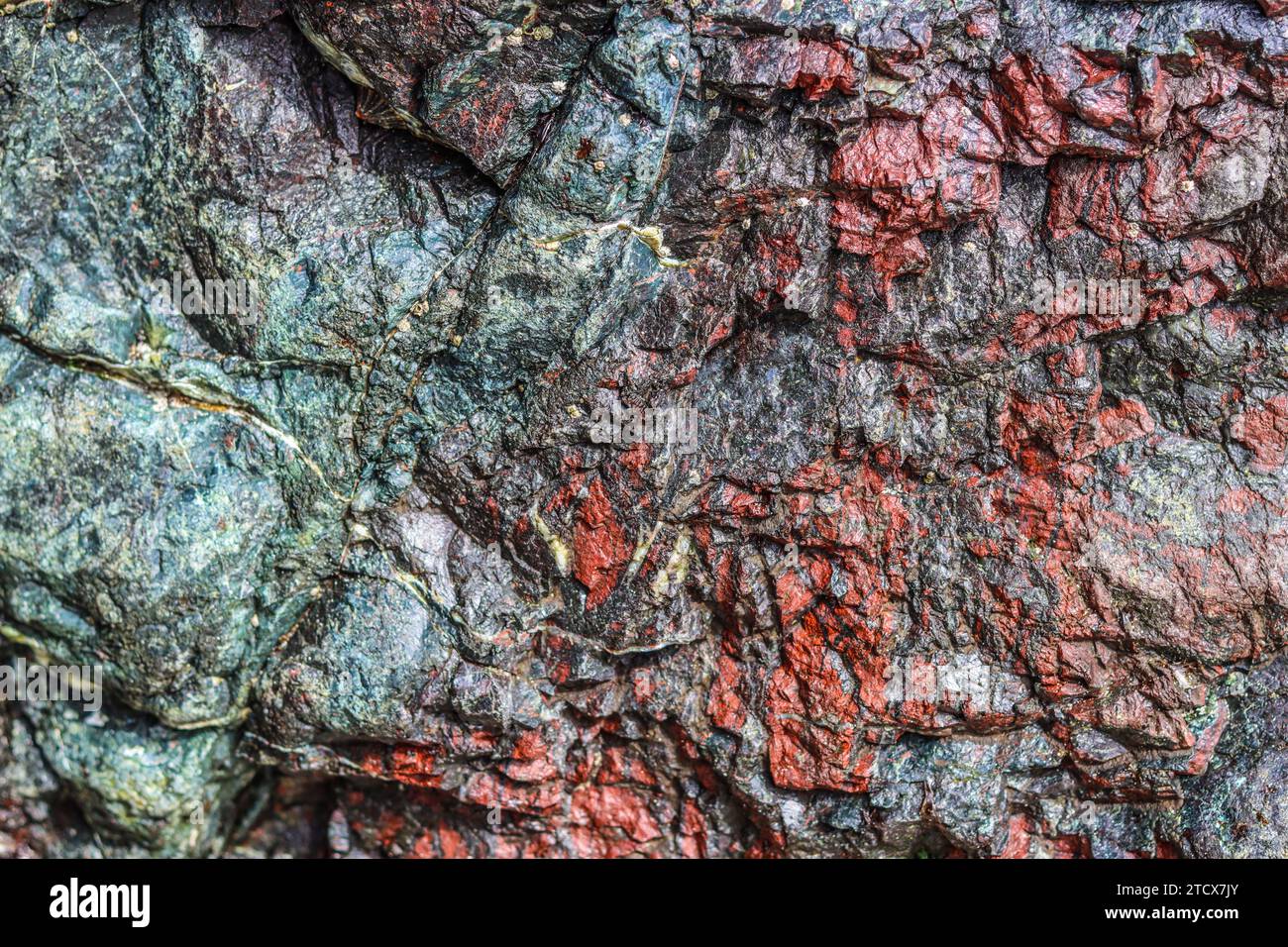 Red and green serpentine rock in Kynance Cove, Cornwall Stock Photo - Alamy