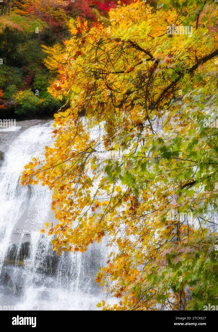 Rainbow Falls in Gorge National Park, Highlands, North Carolina with ...