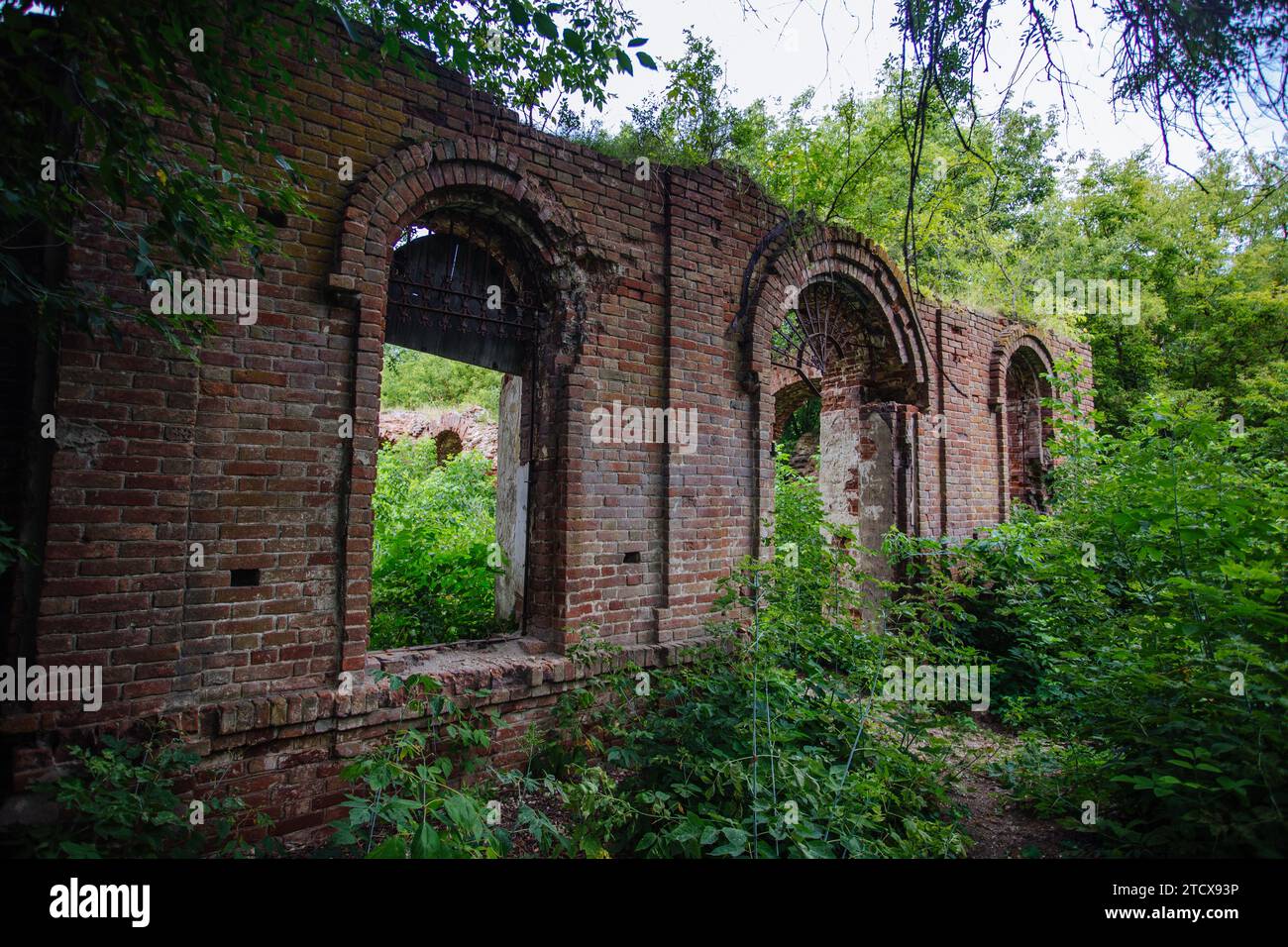 Old ruins of historical building overgrown by vegetation green post ...