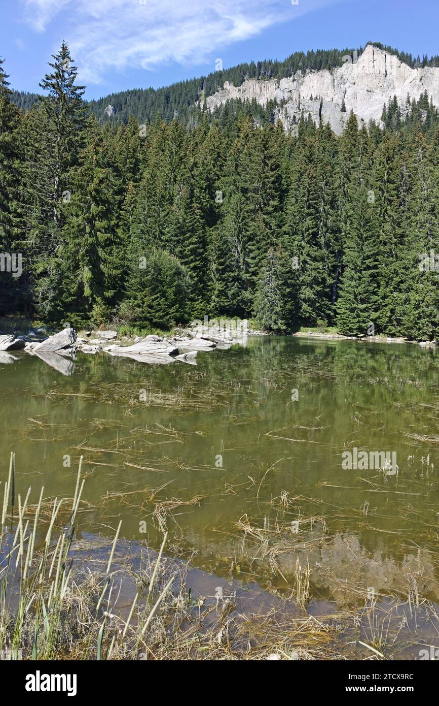 Landscape of Smolyan lakes at Rhodope Mountains, Smolyan Region ...