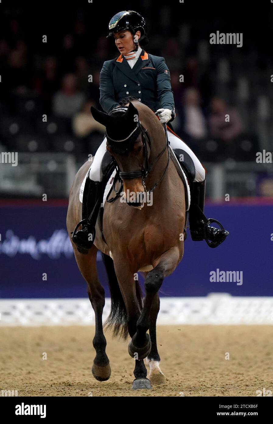 Giraldo ridden by Ireland's Abigail Lyle during the FEI Dressage World ...