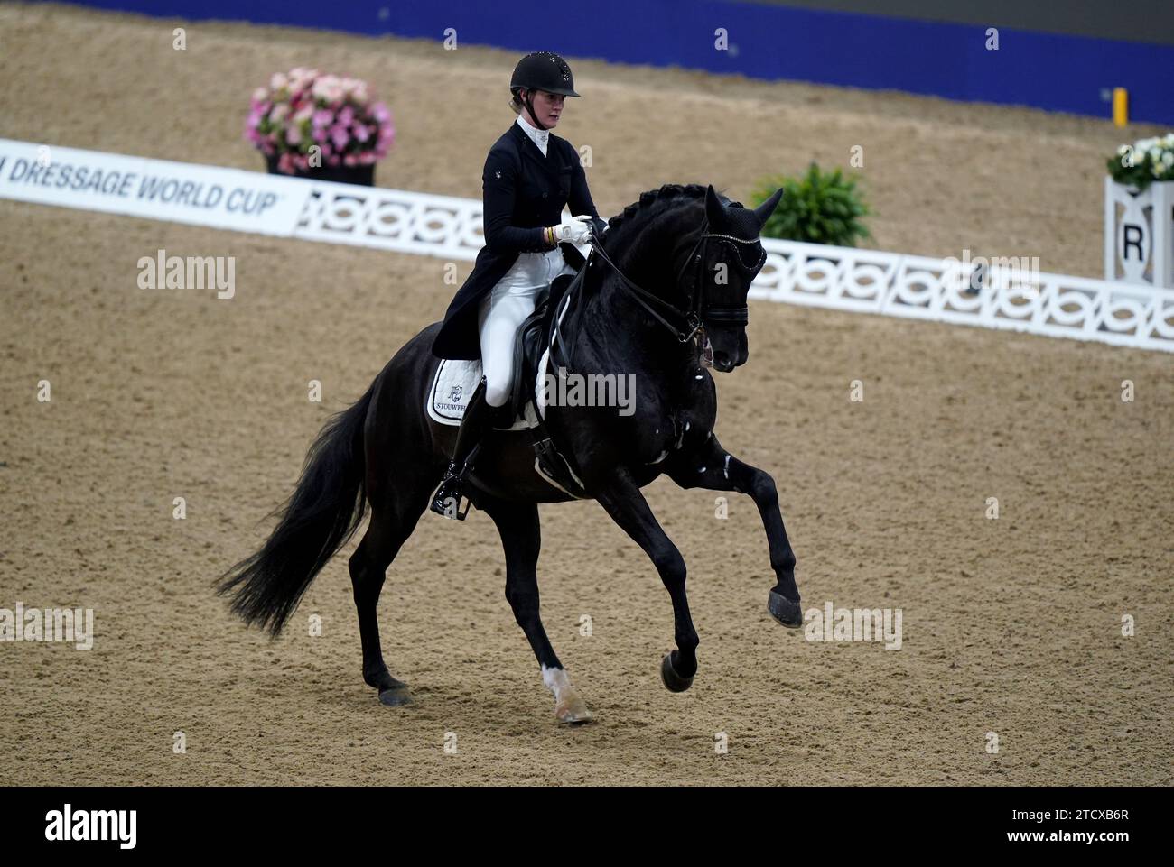 Boston STH ridden by Denise Nekeman during the FEI Dressage World Cup ...